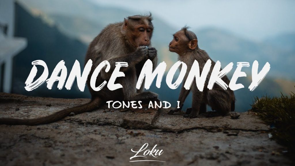 Il significato psicologico di Dance Monkey: vivere senza riserve - L ...